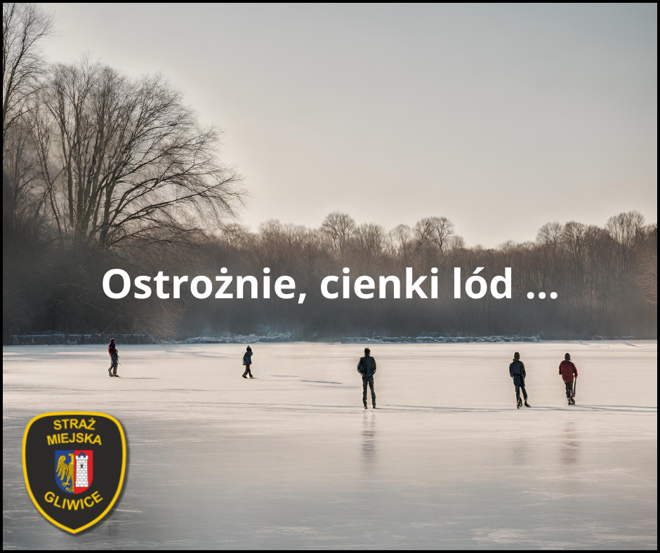 Straż Miejska w Gliwicach